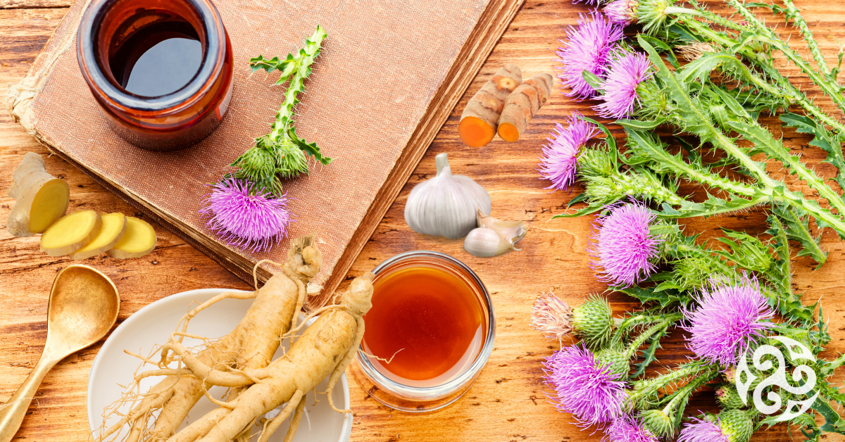 10 nejlepších bylinek, které podpoří očistu jater | GAEA
